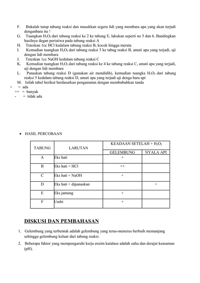 Enzim katalase | DOC
