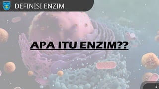 ENZIM KELAS XII KURIKULUM MERDEKA TAHUN 2024 | PPTX