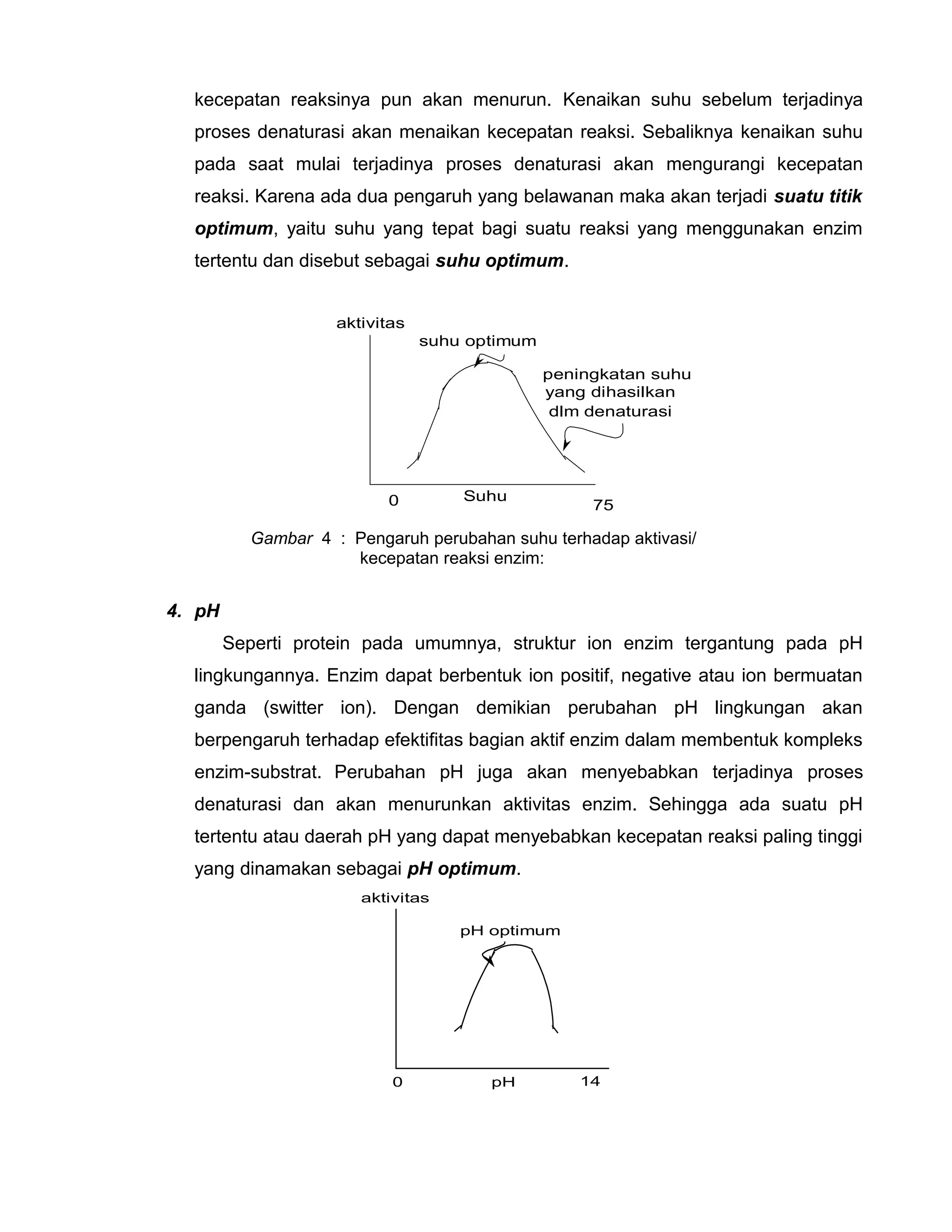 Enzim ,klasifikasi dan fungsi enzim | DOC