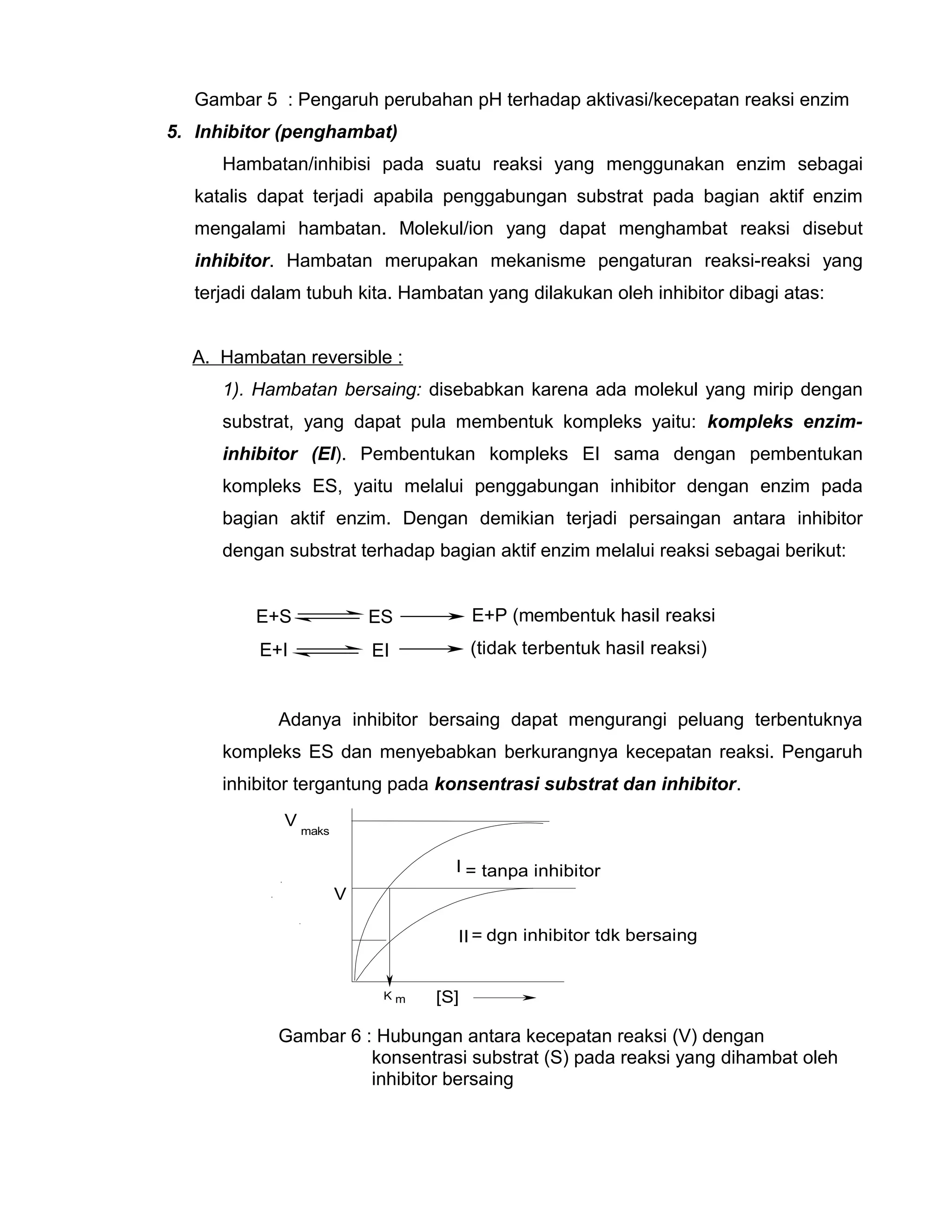 Enzim ,klasifikasi dan fungsi enzim | DOC