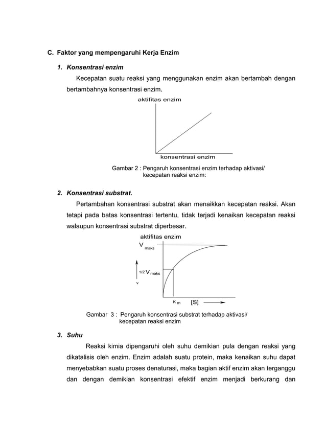 Enzim ,klasifikasi dan fungsi enzim | DOC