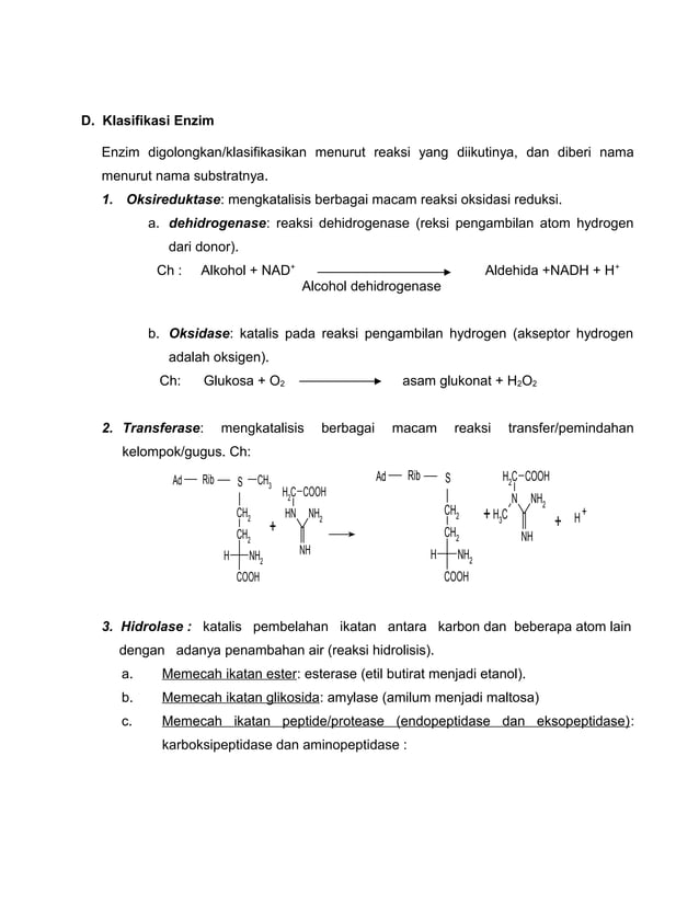 Enzim ,klasifikasi dan fungsi enzim | DOC