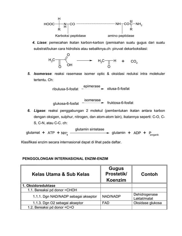 Enzim ,klasifikasi dan fungsi enzim | DOC