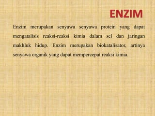 Enzim Metabolisme | PPTX