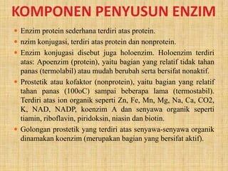 Enzim Metabolisme | PPTX