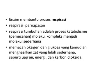 ENZIM PADA TUMBUHAN.pptx. Pertanian. Proteksi | PPTX