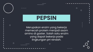 Enzim Pepsin_dr. Fadhilah Arsyil.pptx