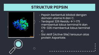 Enzim Pepsin_dr. Fadhilah Arsyil.pptx