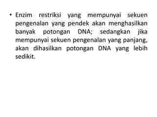 Enzim restriksi SMA | PPTX