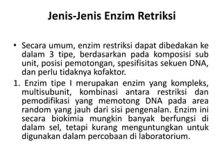 Enzim restriksi SMA | PPTX