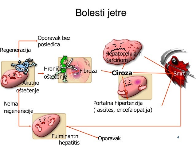 Enzimski profili jetre