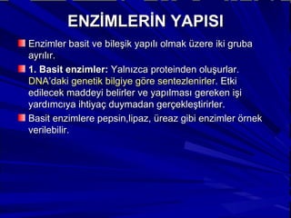 Enzimler | PPT