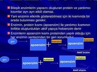Enzimler | PPT