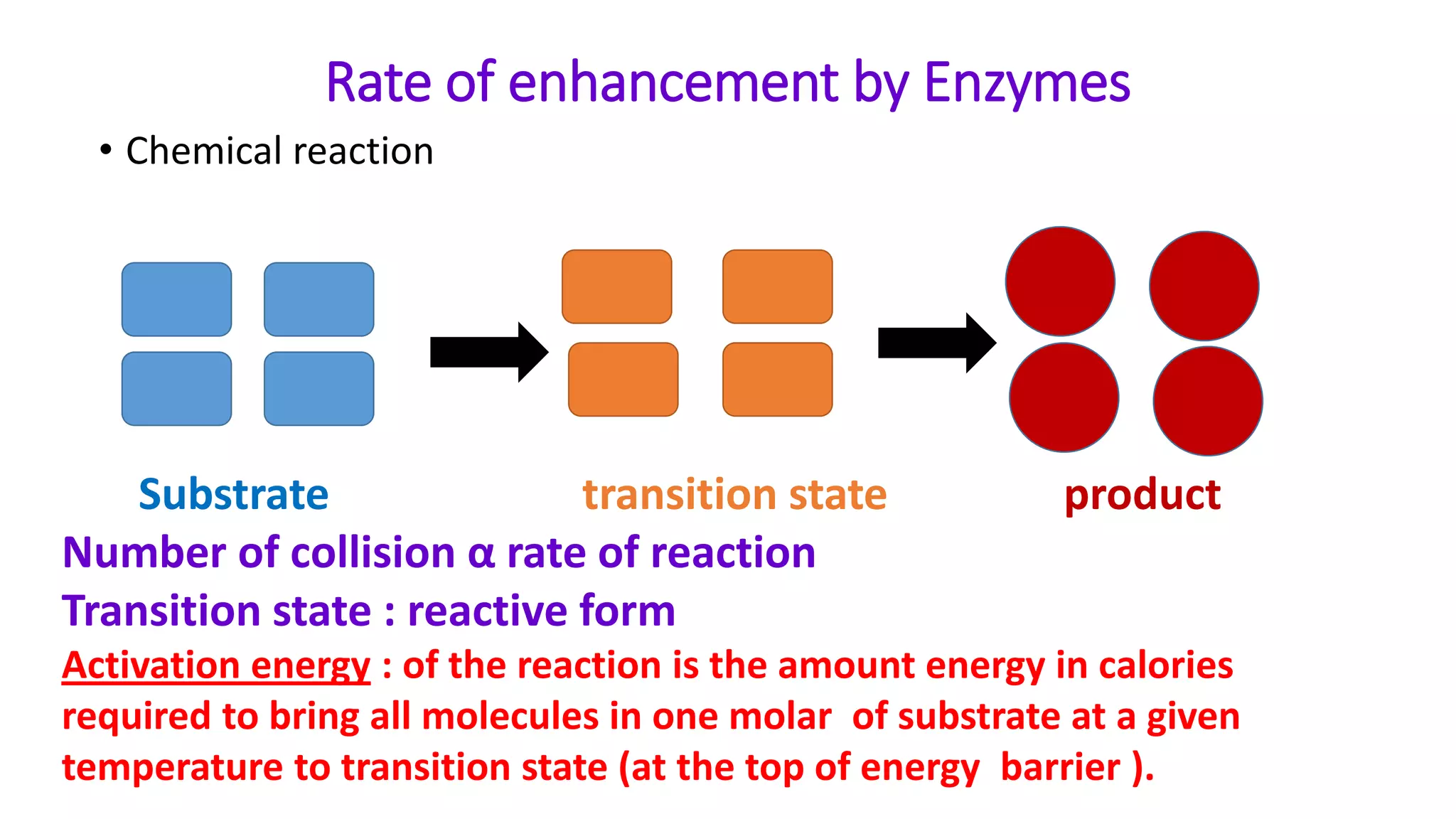 Enzymalogy Factors affecting enzyme activity and kinetics | PDF