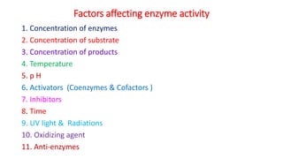 Enzymalogy Factors affecting enzyme activity and kinetics | PDF | Endocrine and Metabolic ...