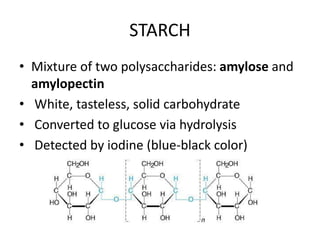 Enzymatic-Activity-of-Salivary-Amylase.pptx
