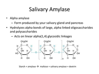 Enzymatic-Activity-of-Salivary-Amylase.pptx