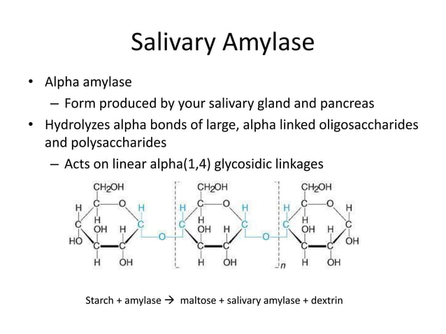 Enzymatic-Activity-of-Salivary-Amylase.pptx | Chemistry | Science