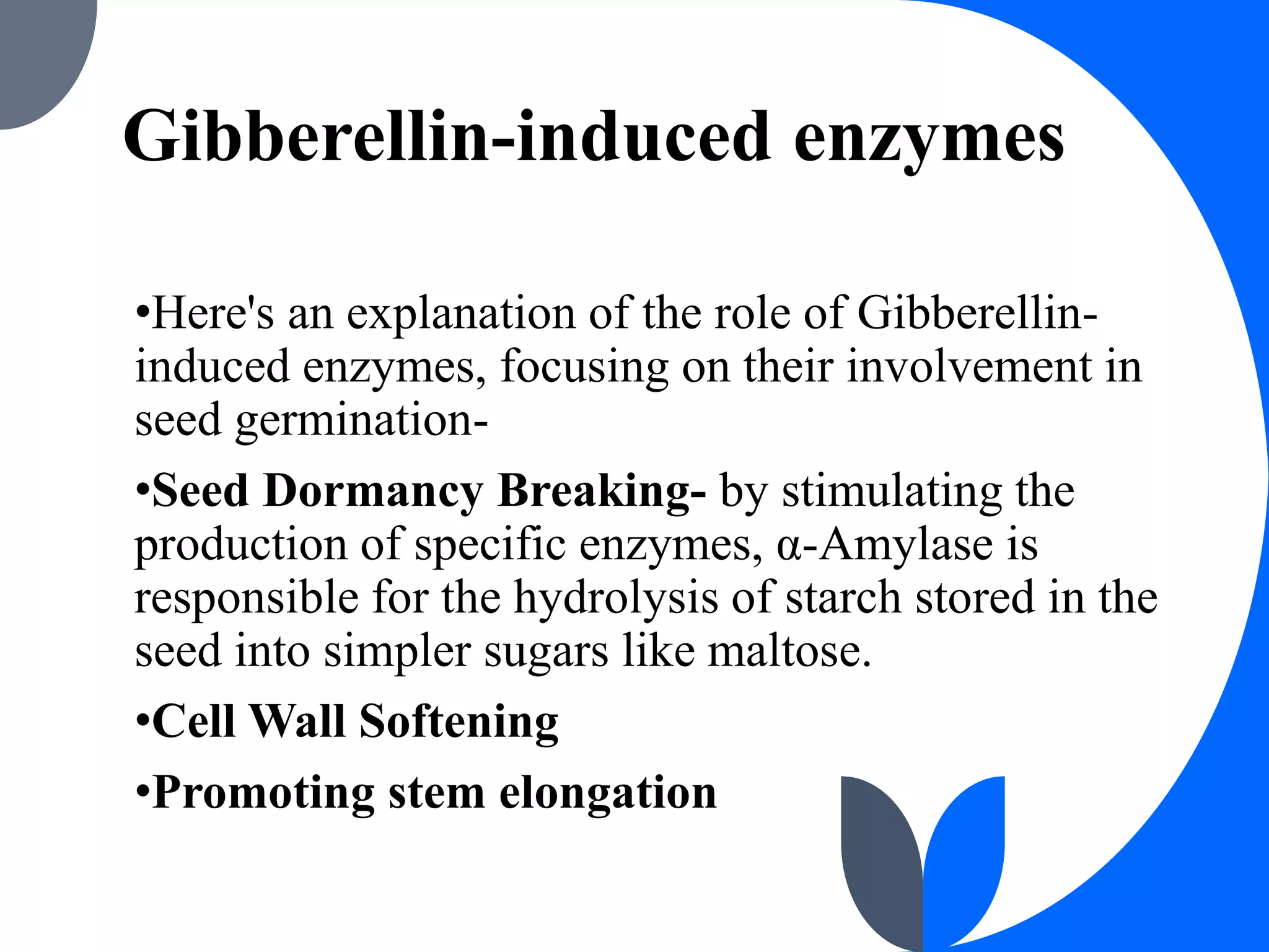 Enzymatic activity in seed germination.pptx