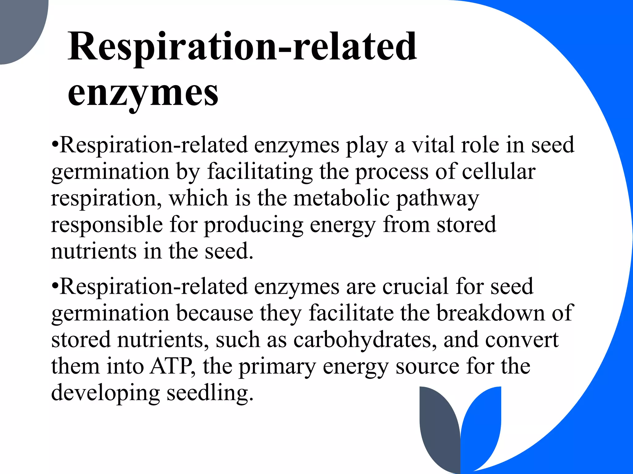 Enzymatic activity in seed germination.pptx
