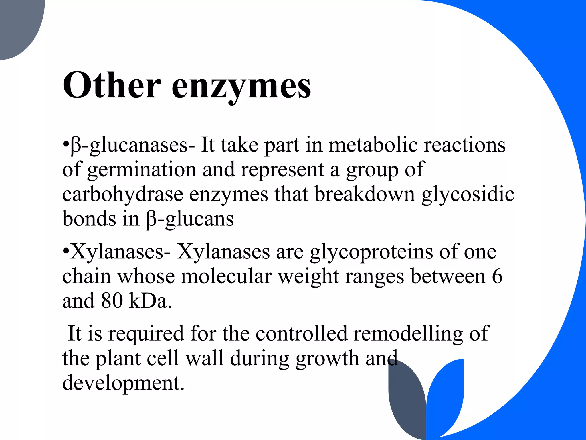 Enzymatic activity in seed germination.pptx