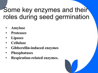 Enzymatic activity in seed germination.pptx