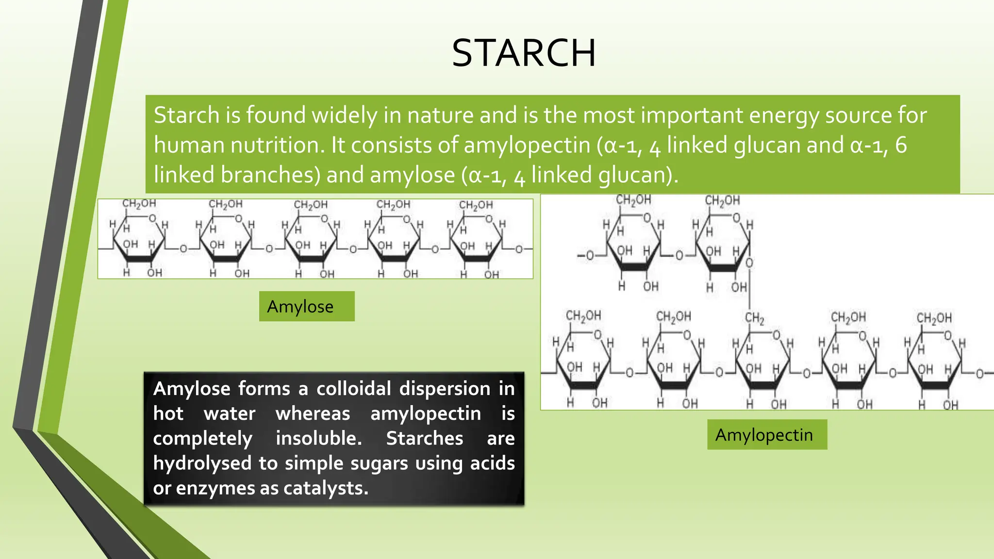 enzymatic application in starch modification_021851.pptx