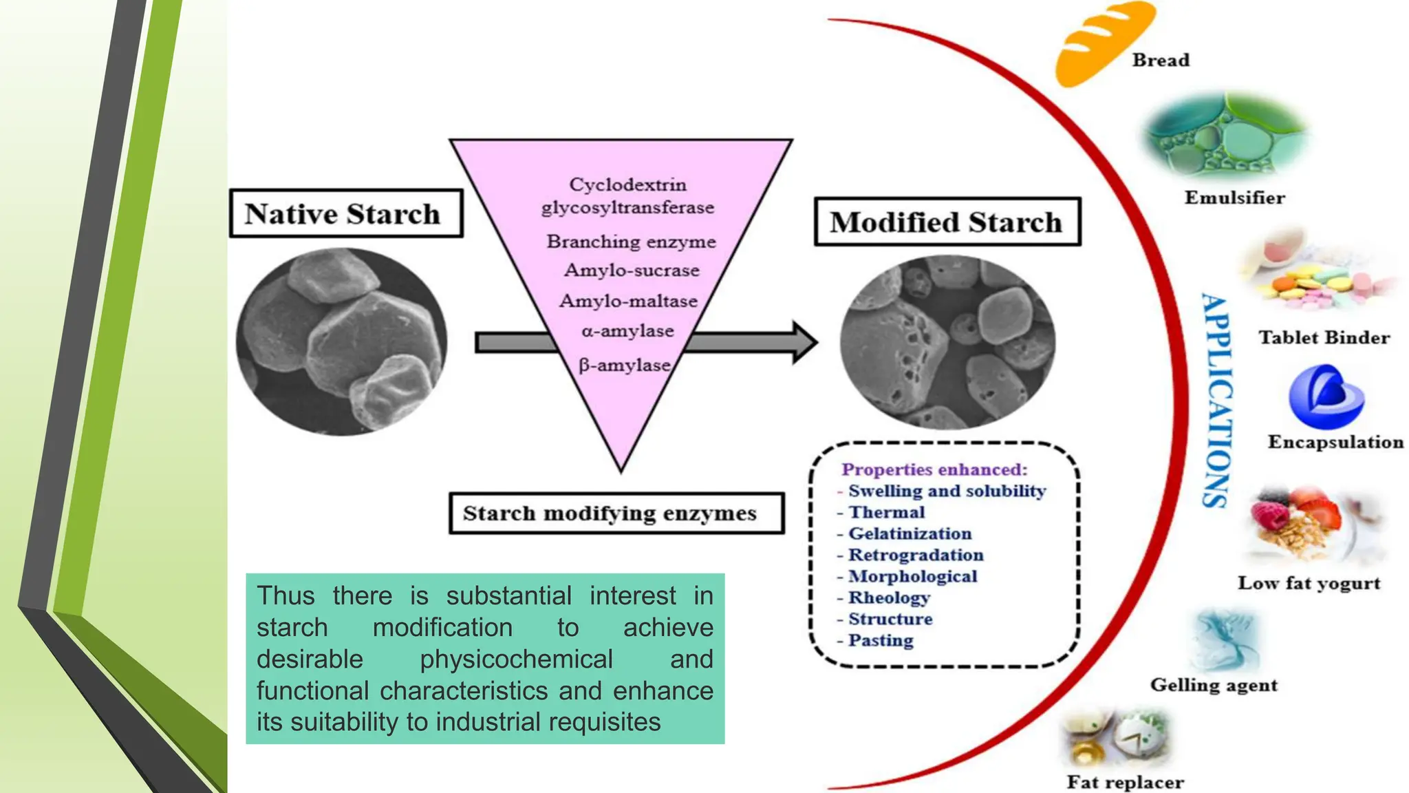 enzymatic application in starch modification_021851.pptx
