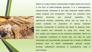 enzymatic application in starch modification_021851.pptx