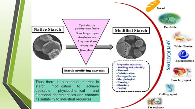 enzymatic application in starch modification_021851.pptx | Chemistry ...