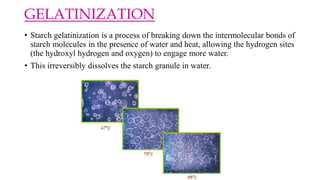 Enzymatic bioconversions | PPTX