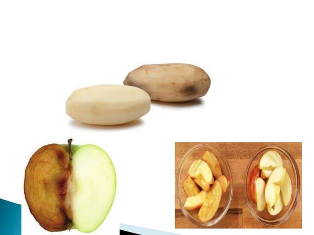 Enzymatic browning in foods