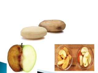 Enzymatic browning in foods | PPTX