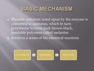 Enzymatic & non enzymatic browning | PPTX