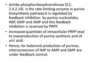 ENZYMATIC PATHWAY OF PURINE BIOSYNTHESIS | PPTX | Endocrine and ...