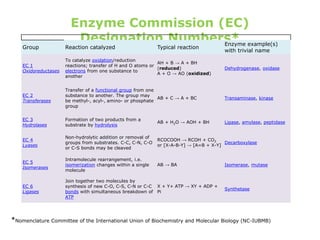 Enzymatic tailoring of hydrolysates' properties | PPT