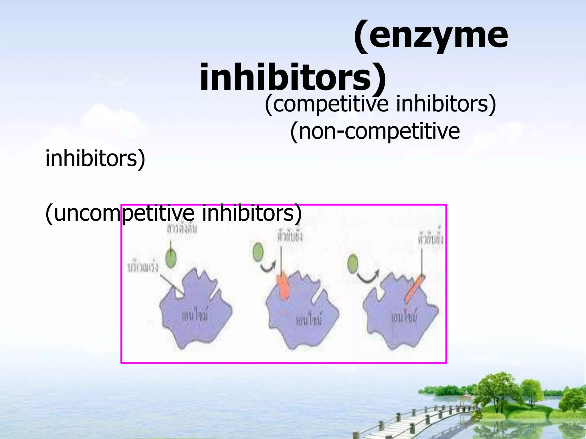 Enzyme | PPT