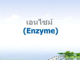 Enzyme | PPT