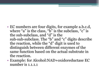 Enzyme | PPTX