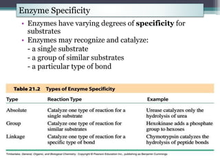 Enzyme | PPTX | Chemistry | Science