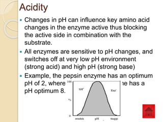 Enzyme | PPTX