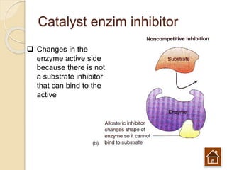 Enzyme | PPT