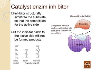 Enzyme | PPT
