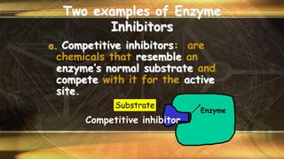 Enzyme | PPT