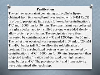 Production of lipases and cellulase | PPTX