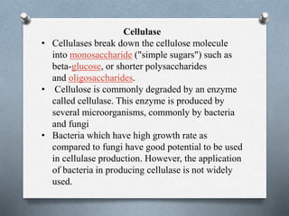 Production of lipases and cellulase | PPTX