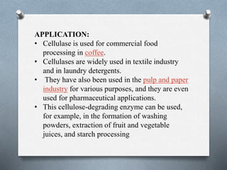 Production of lipases and cellulase | PPTX