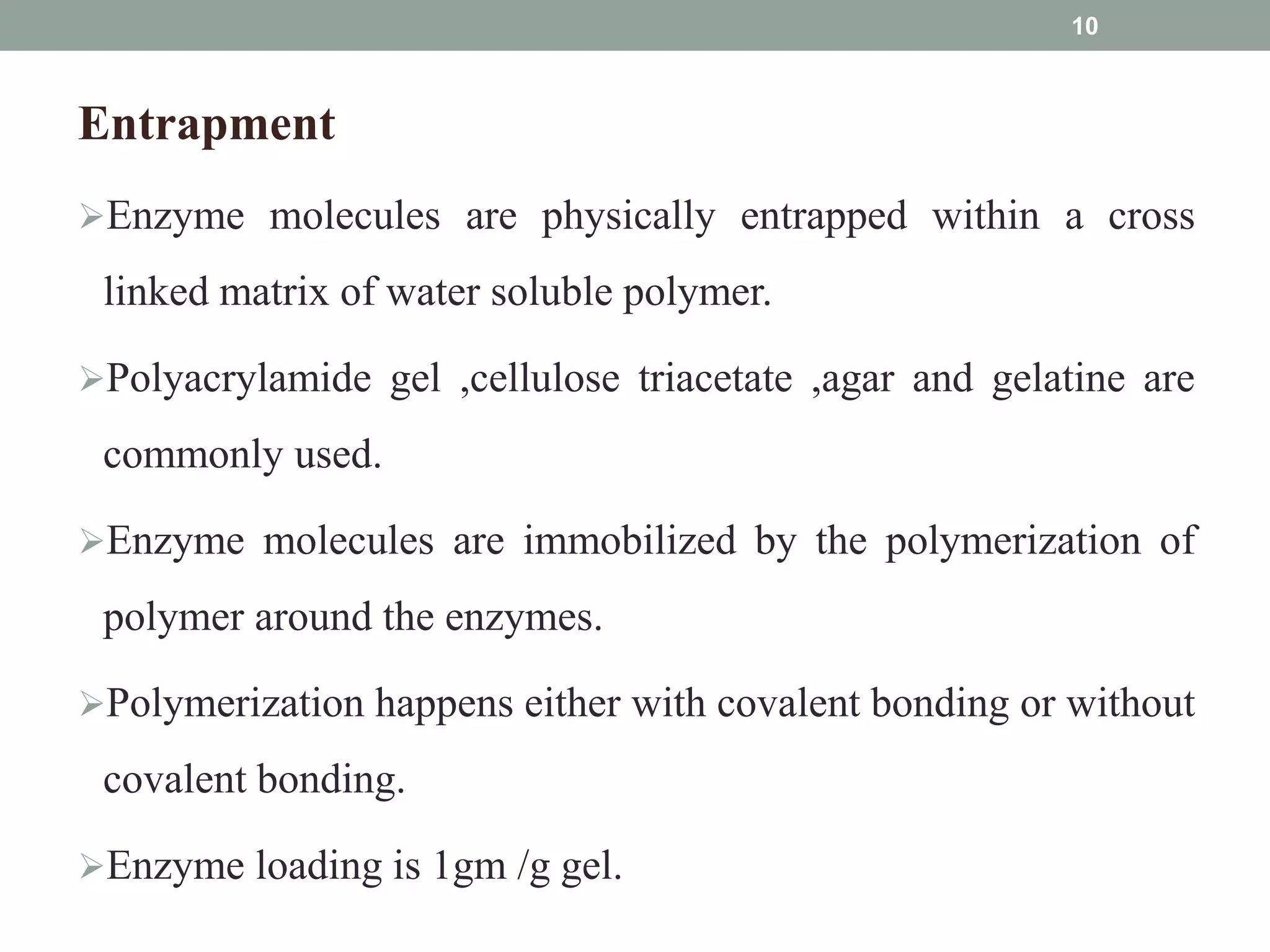 Enzyme.ppt