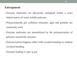 Enzyme.ppt