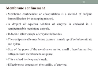 Enzyme.ppt